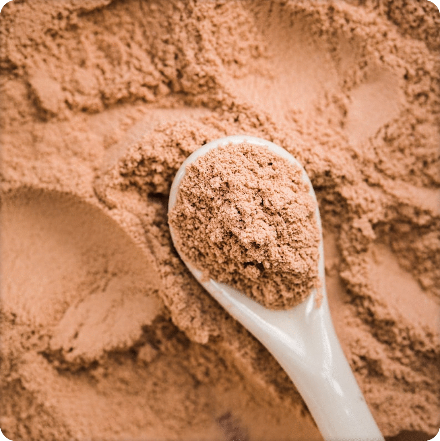Peanut Protein Powder - Indic Wisdom